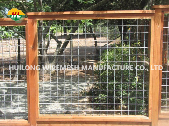 50x50mm Hot Dip Galvanized Welded Mesh Fence Panels